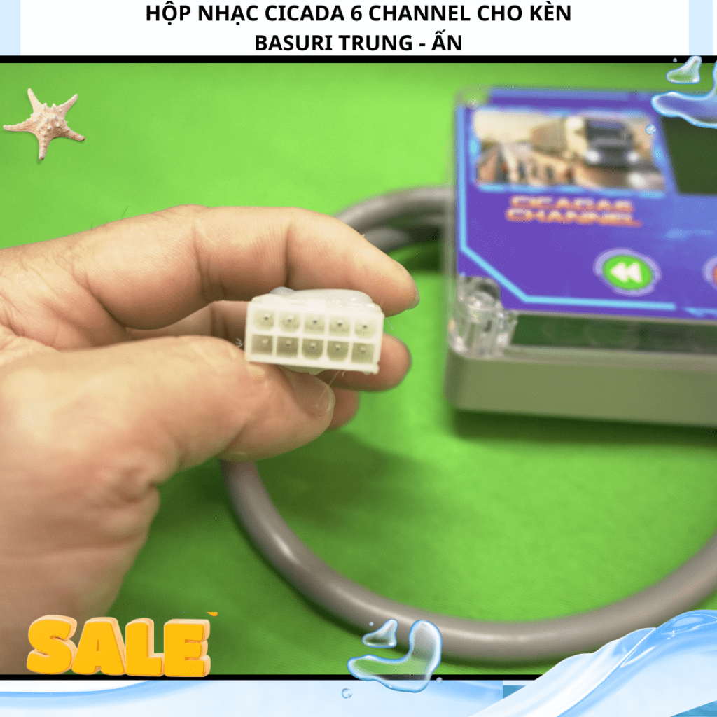 Dây kết nối hộp nhạc với kèn Basuri 6 loa các loại Trung Ấn Thái - Độ ...